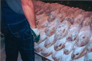 Darden's Country Store Hammin'It Up